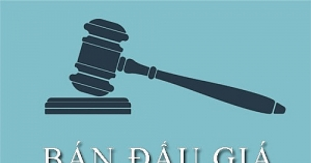 Đấu giá quyền sử dụng đất và tài sản gắn liền với đất tại huyện Thường ...