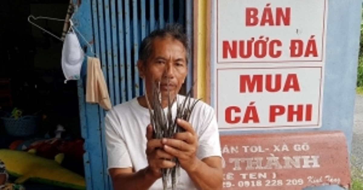 Thông tin mới vụ thương lái "bí ẩn" mua cá lìm kìm với giá vài triệu/kg