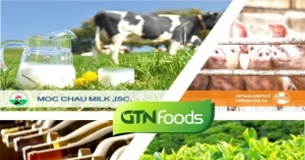 Vinamilk lên kế hoạch mua thêm cổ phần GTNFoods