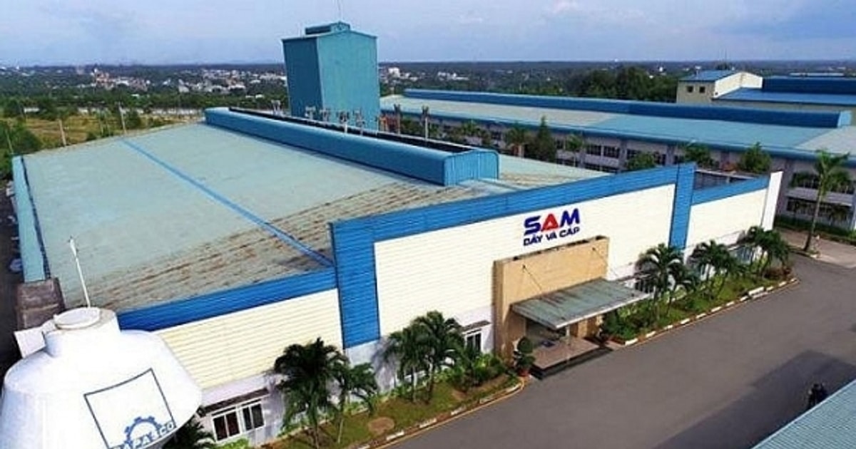 SAM Holdings chốt danh sách cổ đông trả cổ tức 2021