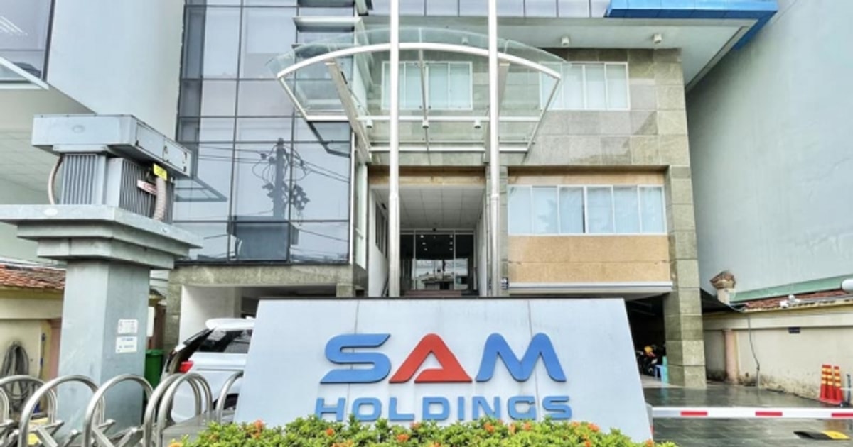 SAM Holdings (SAM): Bảo hiểm Hùng Vương mua không trọn số cổ phiếu đã ...