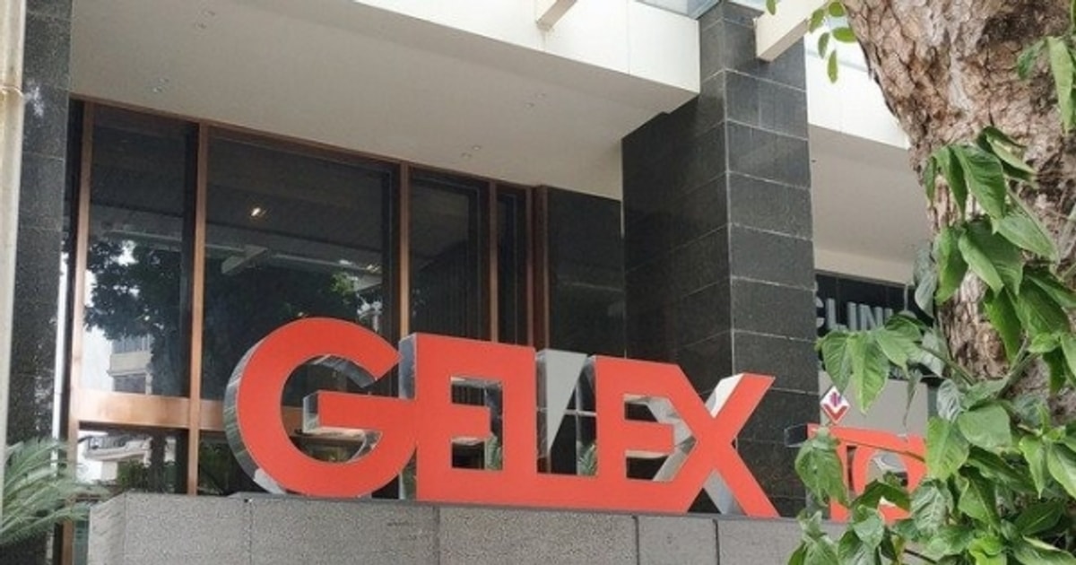 Dragon Capital "bơm" thêm tiền tăng sở hữu tại Gelex (GEX)