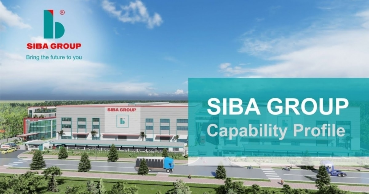 Phải bán cổ phiếu để lấy tiền trả nợ, chuyện gì đang xảy ra với Siba ...