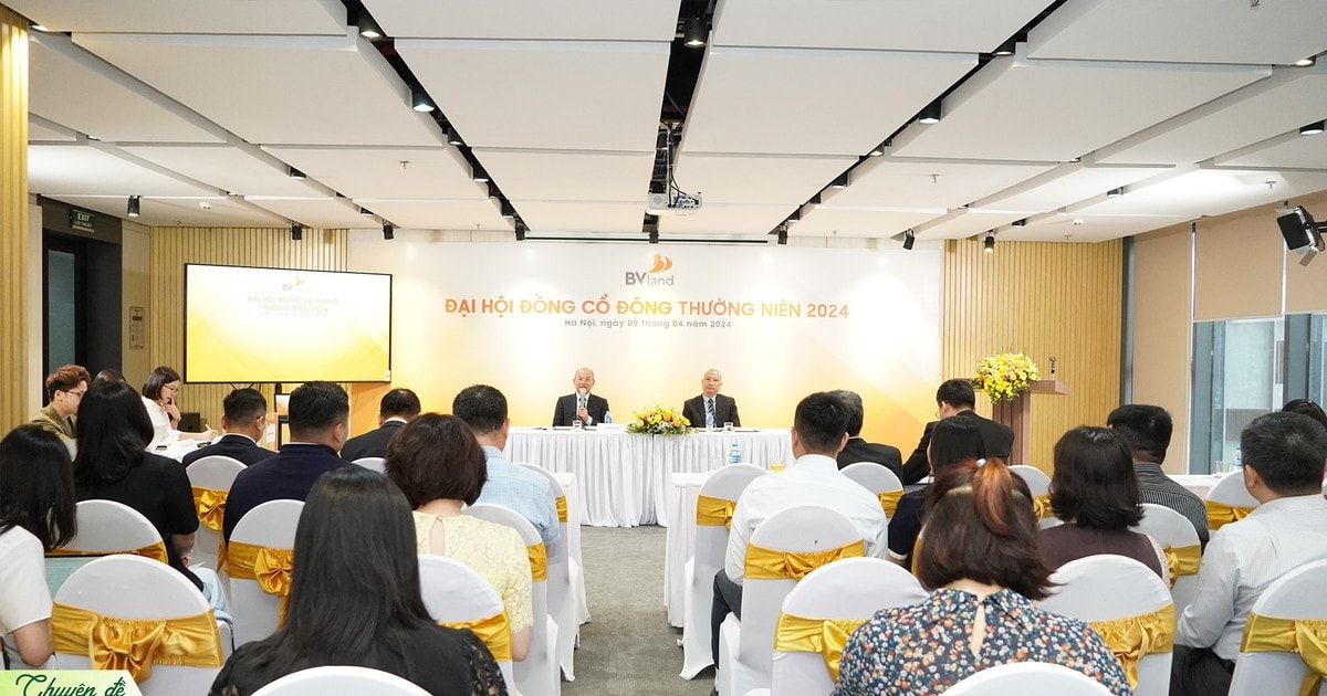 BV Land: Sự tự tin sớm phai và những lá đơn từ nhiệm trước thềm đại hội